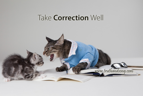 Take Correction Well - Life Lesson 4 - Truth and Song